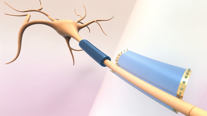 Forscher entwickeln erstmals künstliches Nervensystem im Labor
