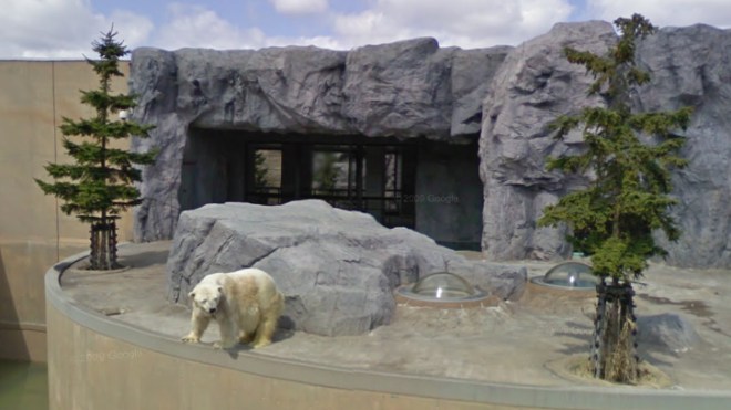 Tierische Aussichten: Google Street View im Zoo - WinFuture.de